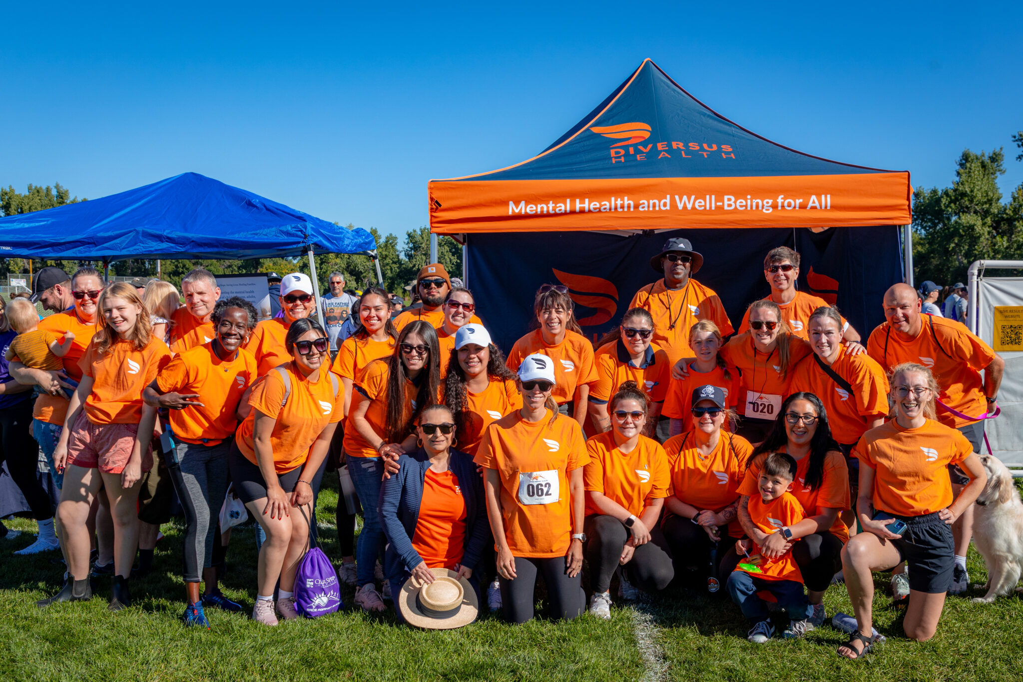 Careers – Diversus Health