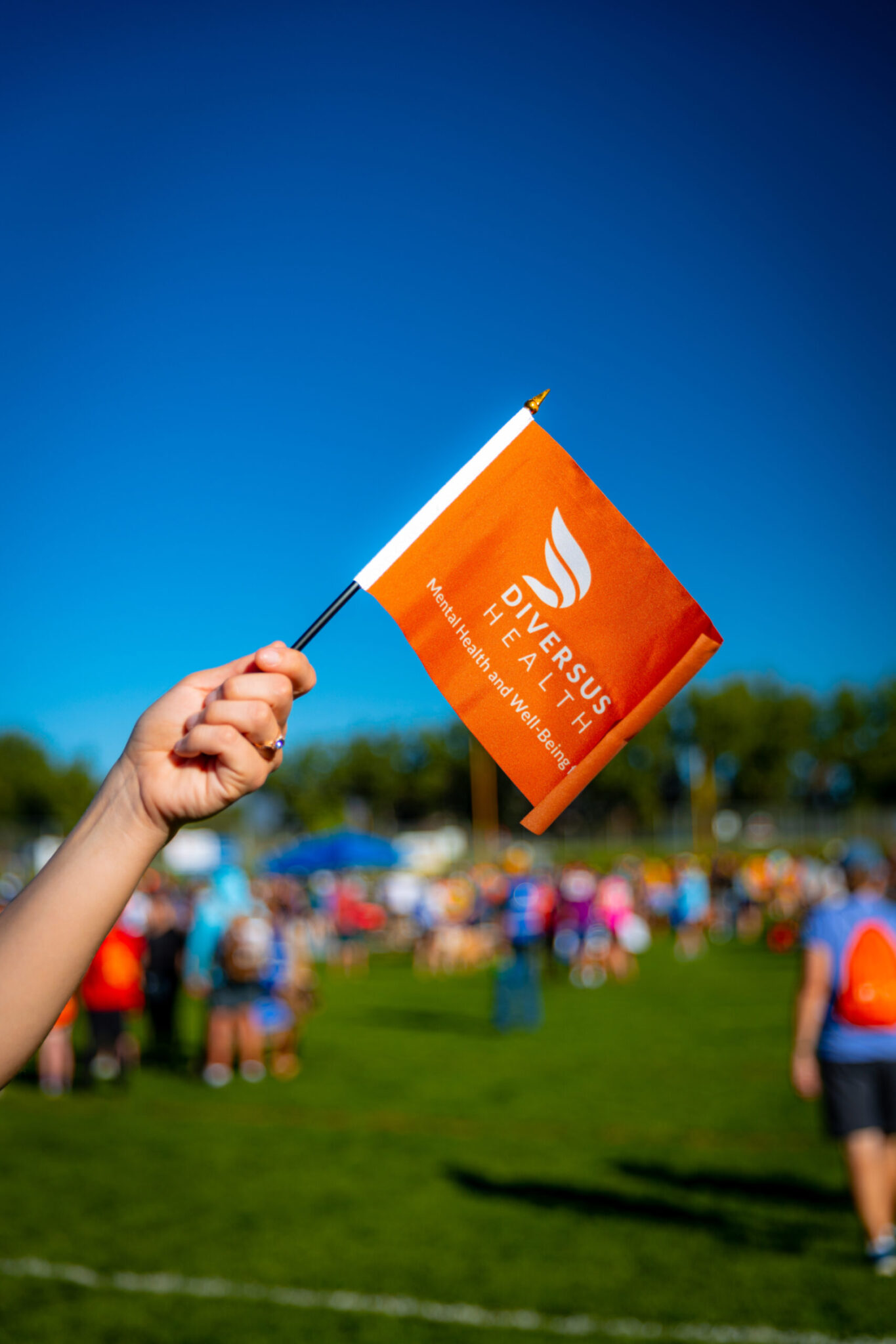 Careers – Diversus Health